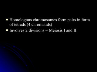 Meiosis | PPT