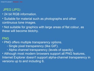 Lecture 9 Professional Practices | PPT