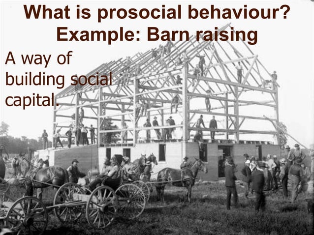 lecture-9-prosocial-behaviour-1192604828567351-4.pptx