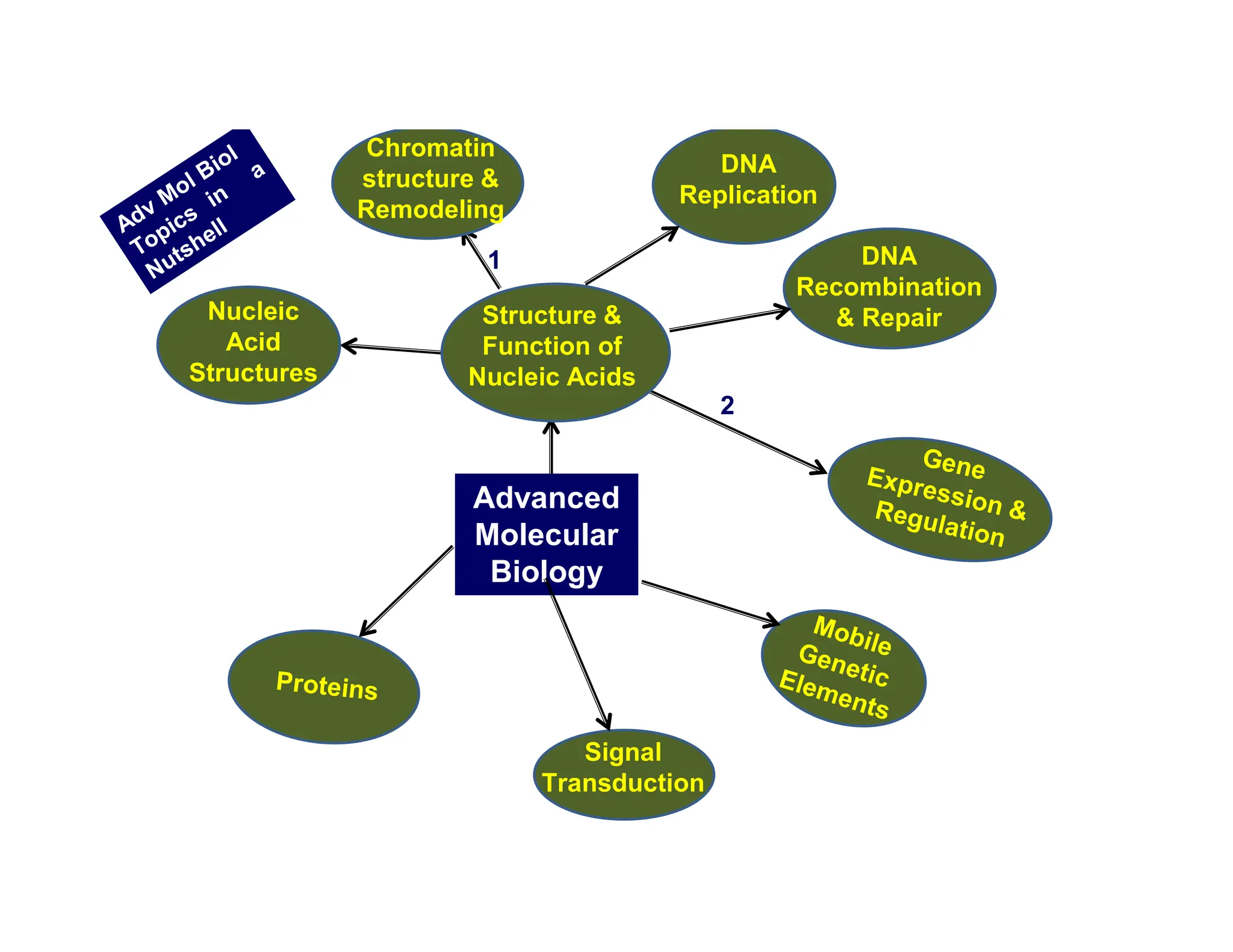 Lecture-Adv Molecular Biology-MSc-Chromatin I-2023-24.pdf