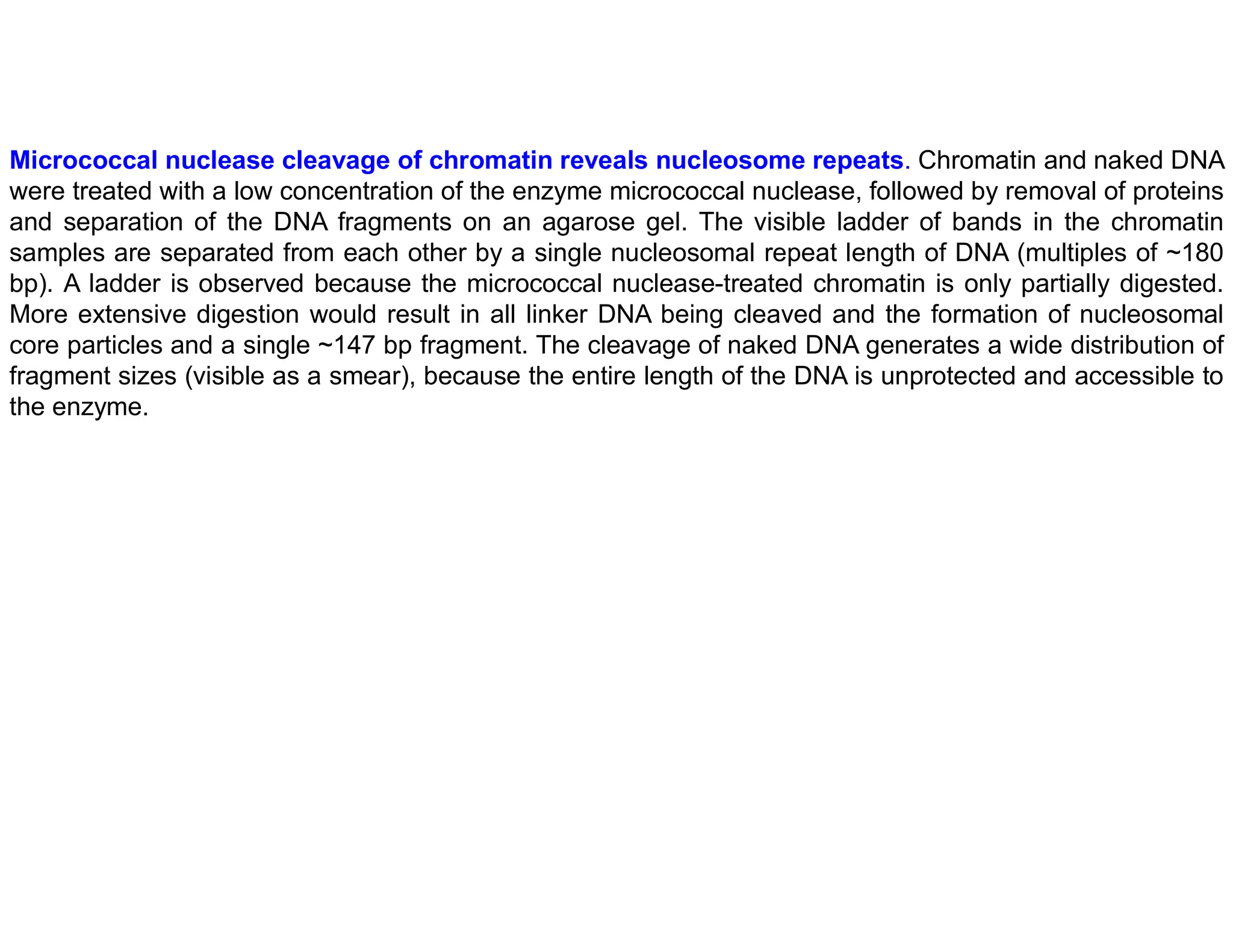 Lecture-Adv Molecular Biology-MSc-Chromatin I-2023-24.pdf
