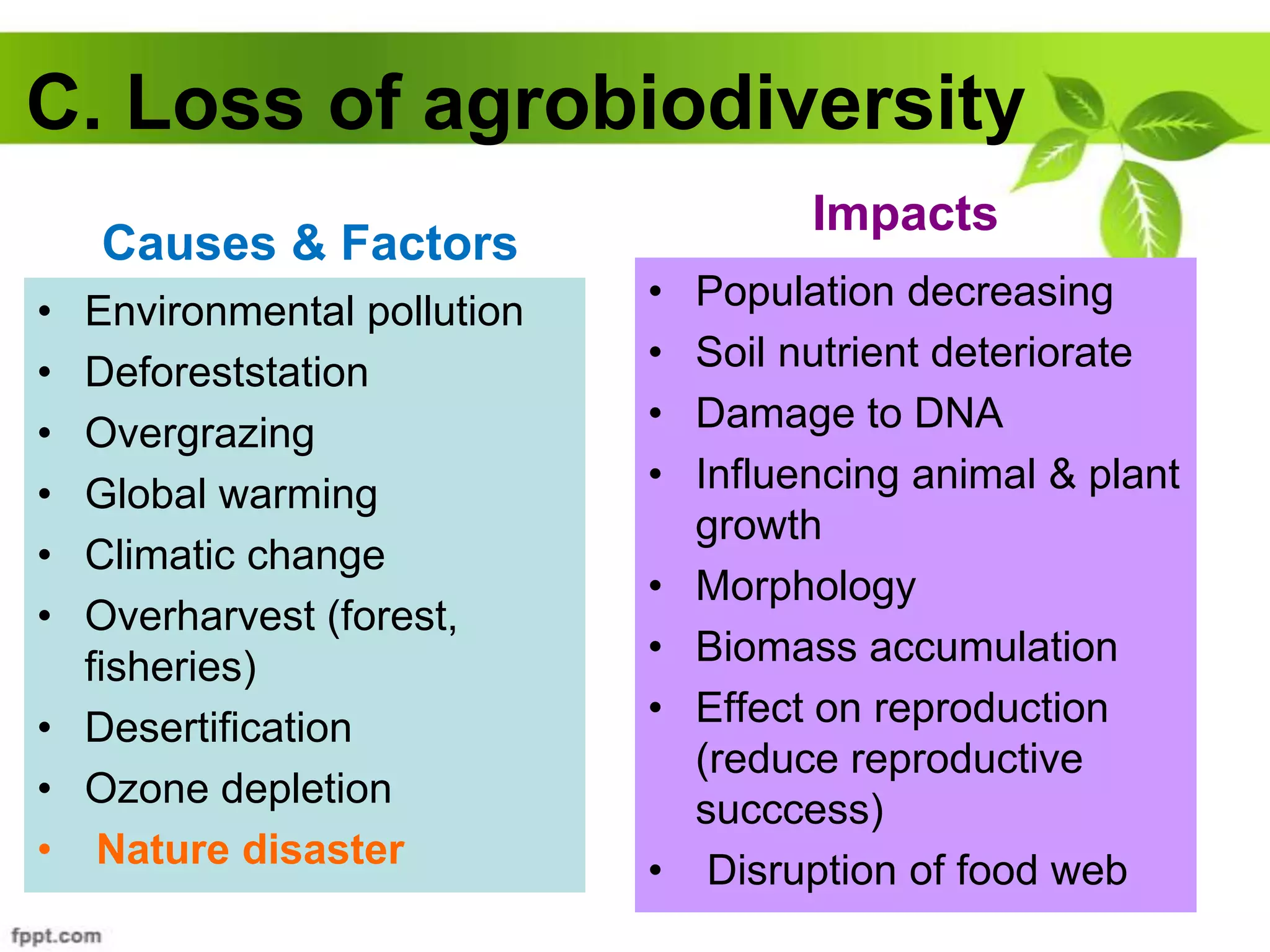 Lecture agrobiodiversity | PPTX