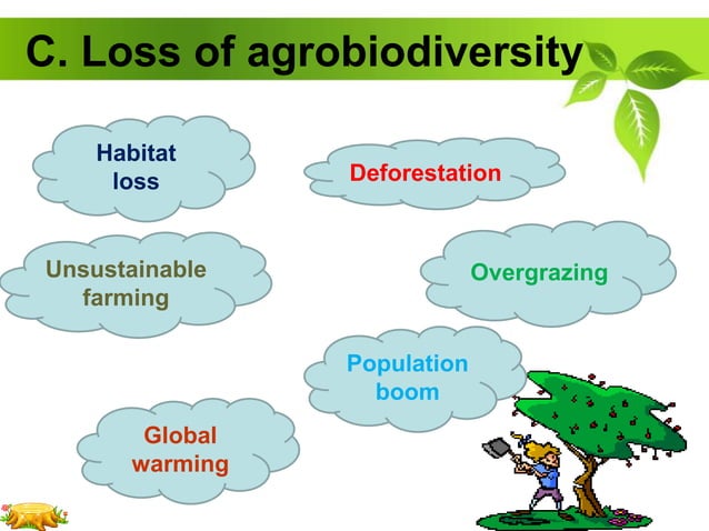 Lecture agrobiodiversity | PPTX | Agriculture | Industries