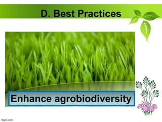 Lecture agrobiodiversity | PPTX
