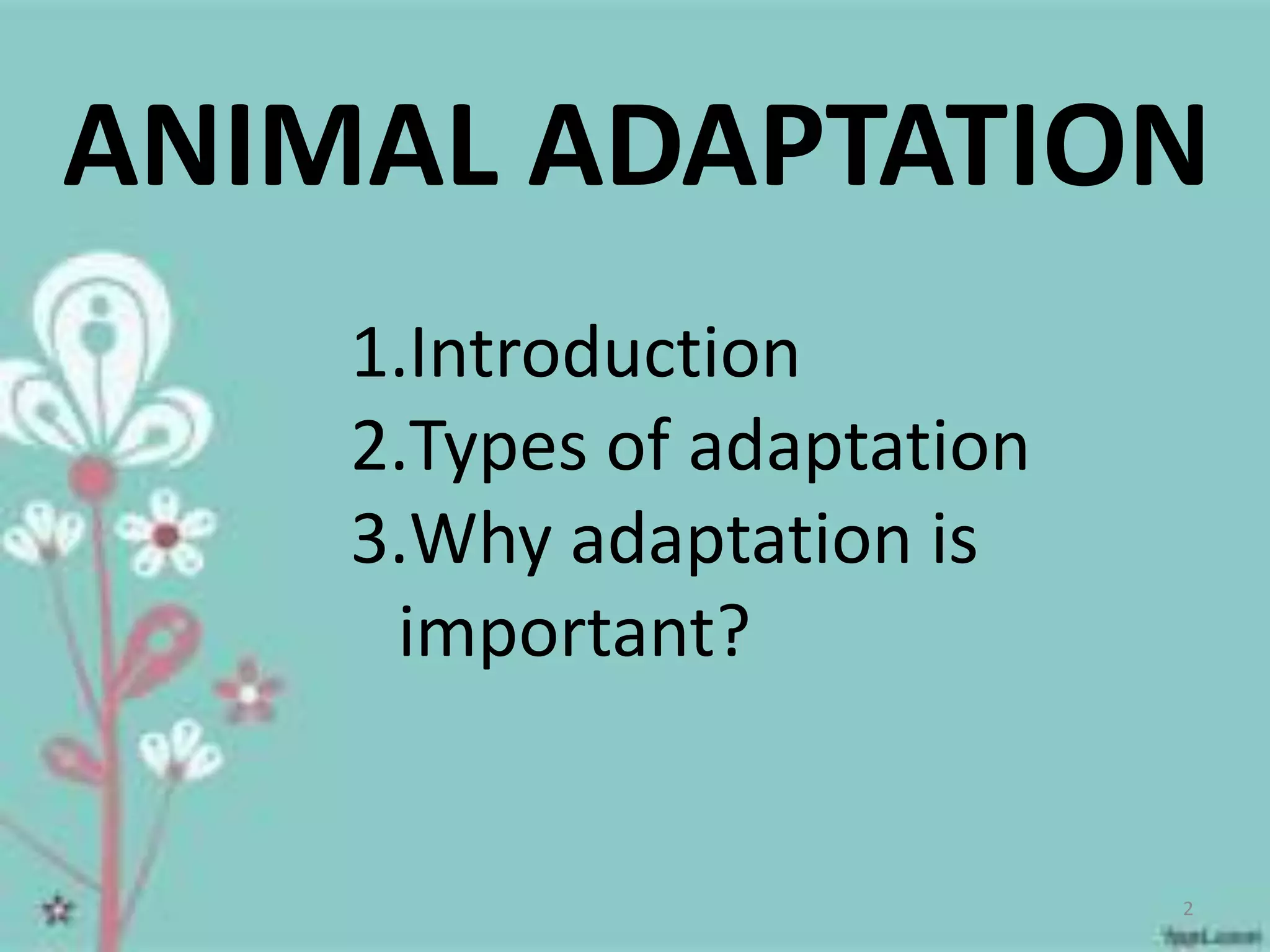 Lecture animal adaptation | PPTX