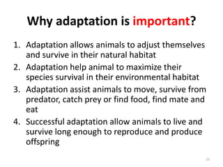 Lecture animal adaptation | PPTX