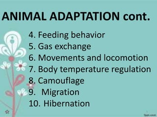 Lecture animal adaptation | PPTX