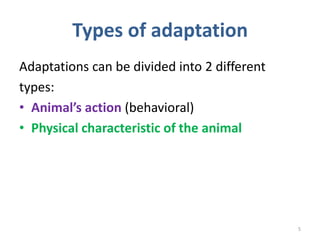 Lecture animal adaptation | PPTX