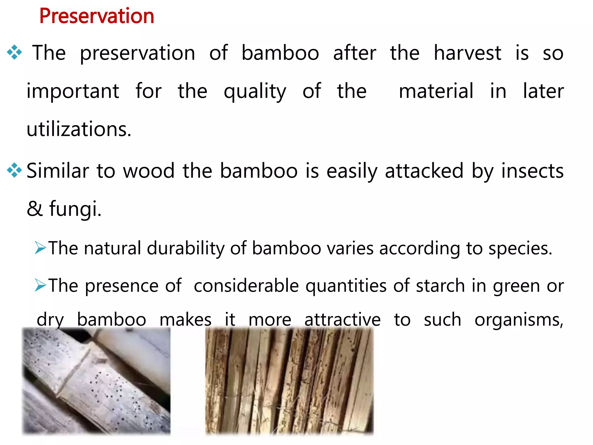 Lecture -Bamboo lecture 1& 2.ppt