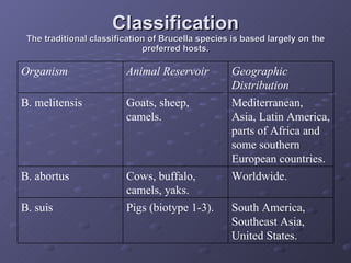 Lecture brucellosis 5 | PPT