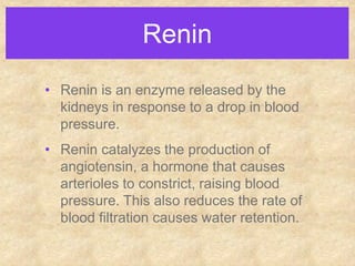 Lecture chapter 35 - urinary system | PPT