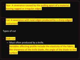 Lecture- Damage to Textiles.pptx