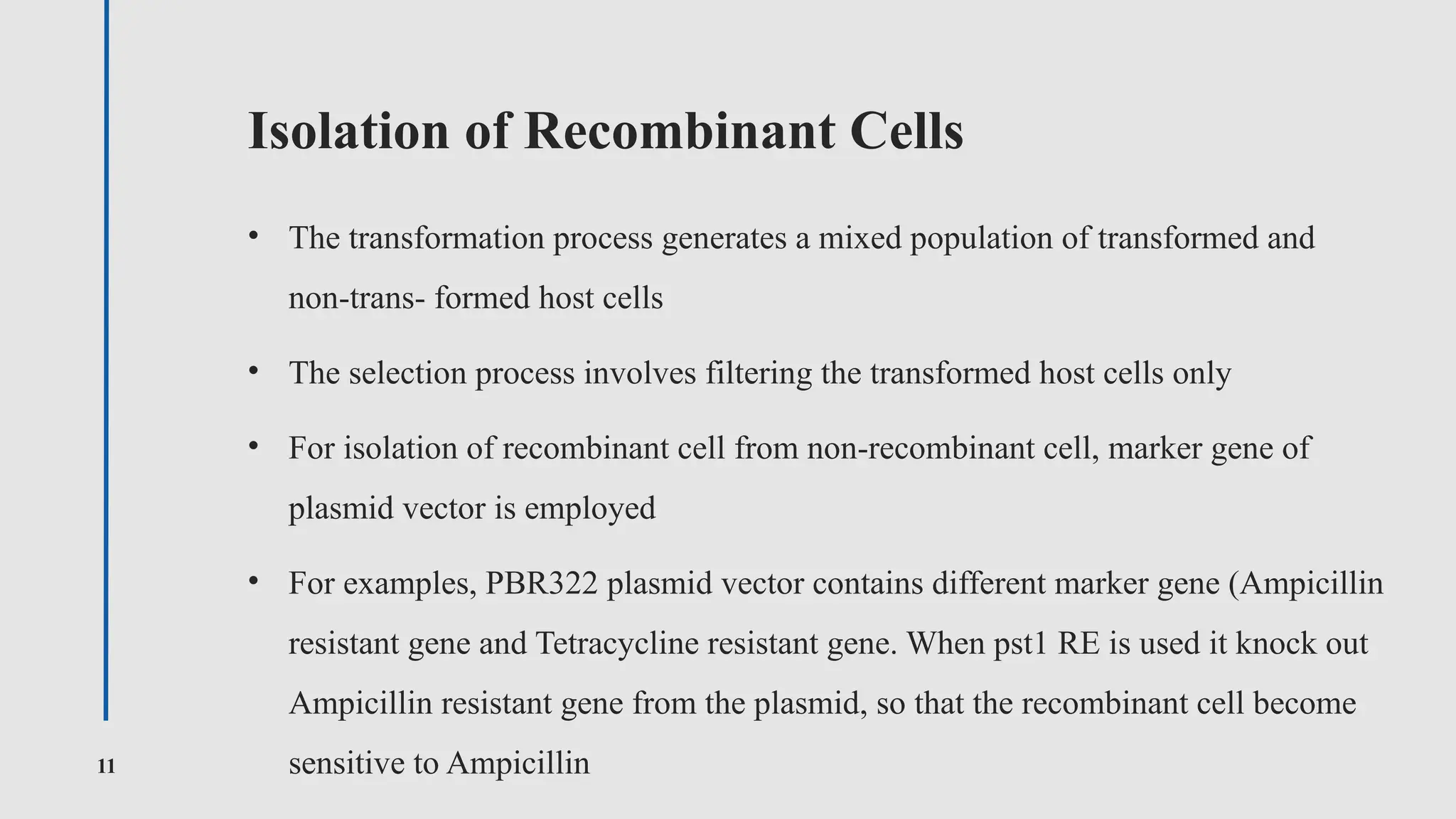 Lecture - Gene Cloning lab. how we can do the gene cloning | PPTX