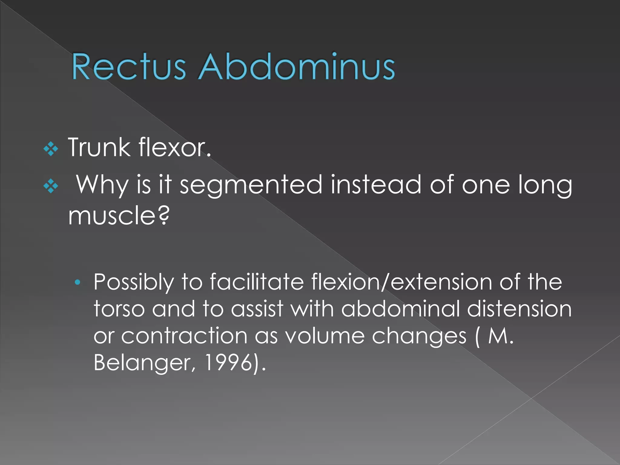 Lecture III Muscle Imbalances | PPTX