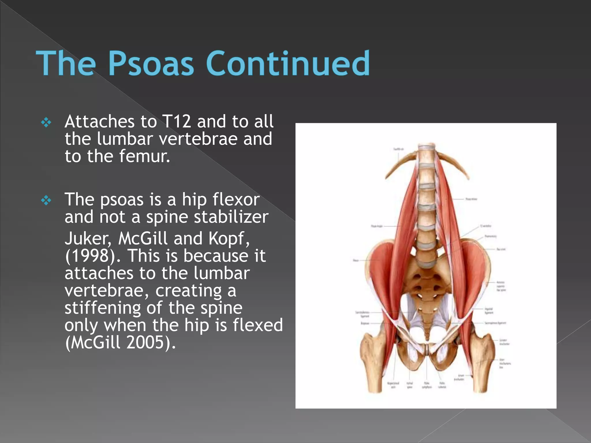 Lecture III Muscle Imbalances | PPTX