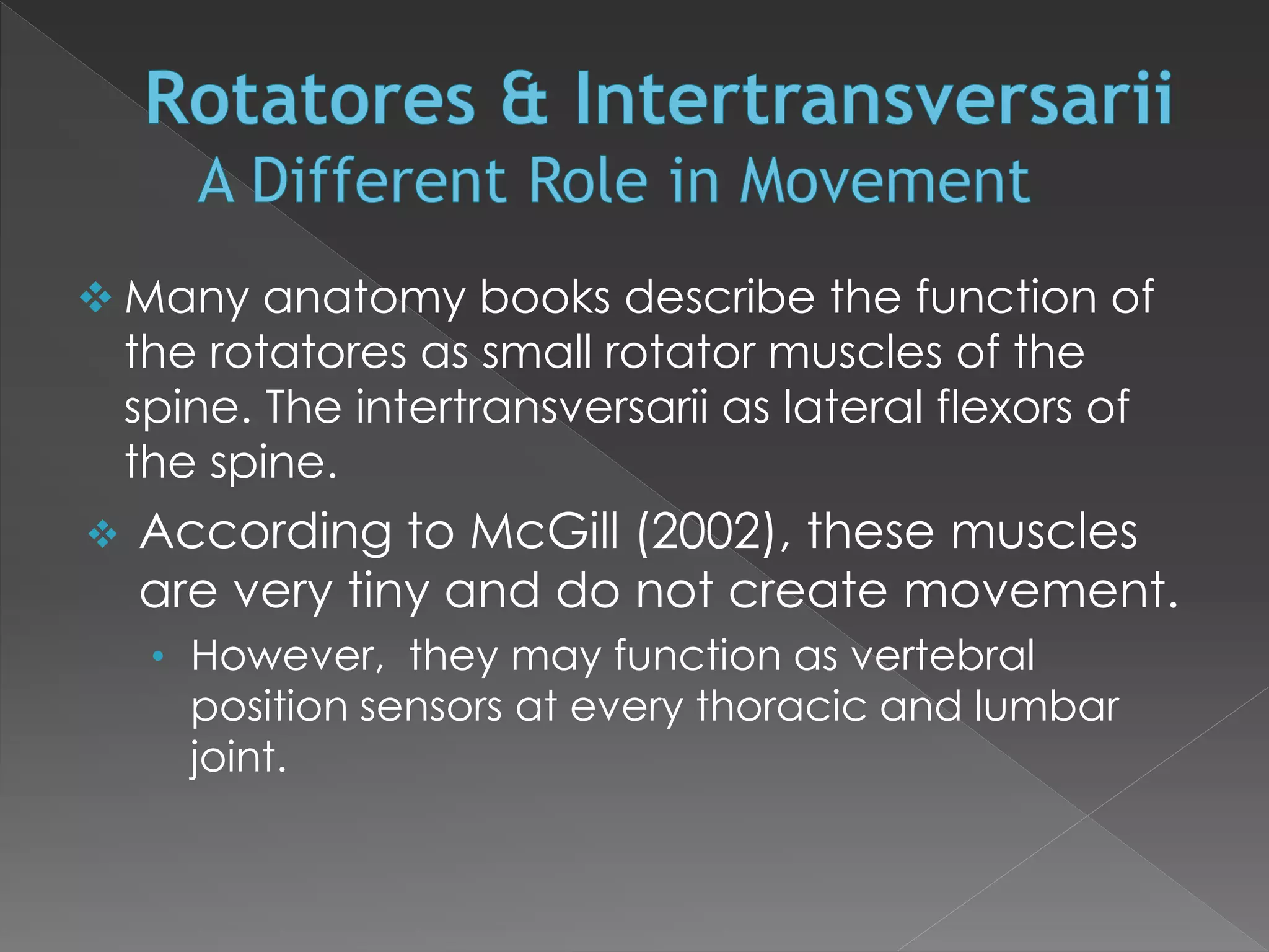 Lecture III Muscle Imbalances | PPTX