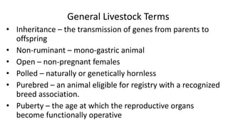 animal science presentation agricultural | PDF