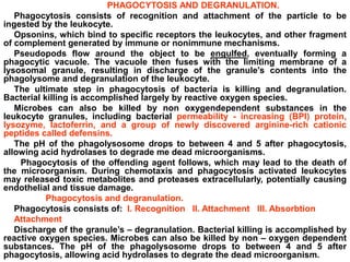 Lecture-inflamation_Engl_.ppt