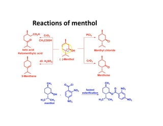 Lecture - Menthol-delivered by mirha sheikh | PDF