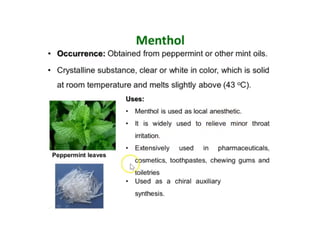 Lecture - Menthol-delivered by mirha sheikh | PDF