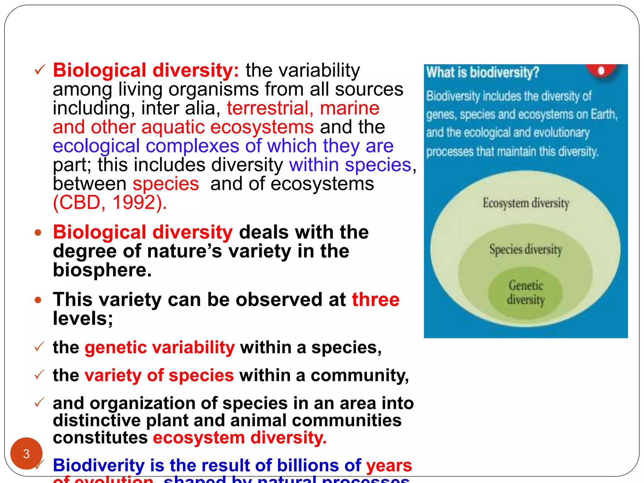 Lecture note on Biodiversity conservation | PPTX