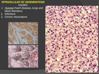 Lecture - Table of contents, tasks, objects and methods of research of ...