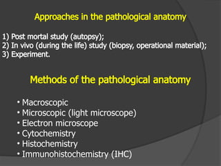 Lecture - Table of contents, tasks, objects and methods of research of ...