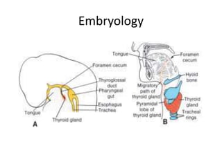 Lecture thyroid malignancies | PPTX