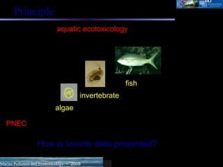 Lecture toxicity testing | PPT