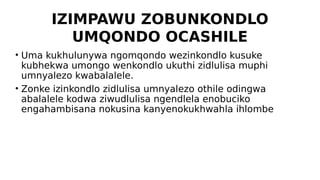 Lecture-Ubunkondlo.pptx.pdf