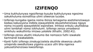 Lecture-Ubunkondlo.pptx.pdf