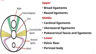 Lecture -All about Uterovaginal prolapse .pptx