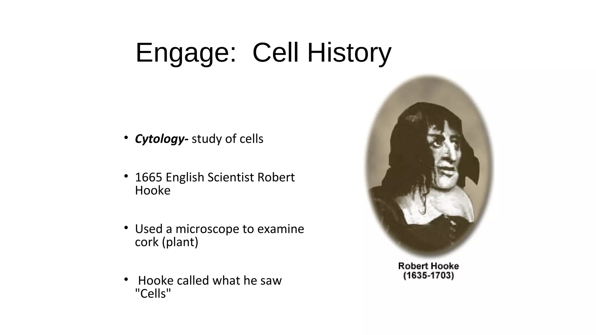 Anatomy and Physiology - First Year Pharmacy Lecture # 01 | PPT