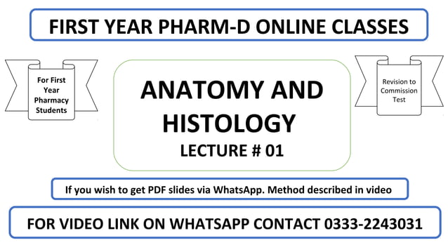 Anatomy and Physiology - First Year Pharmacy Lecture # 01 | PPT ...