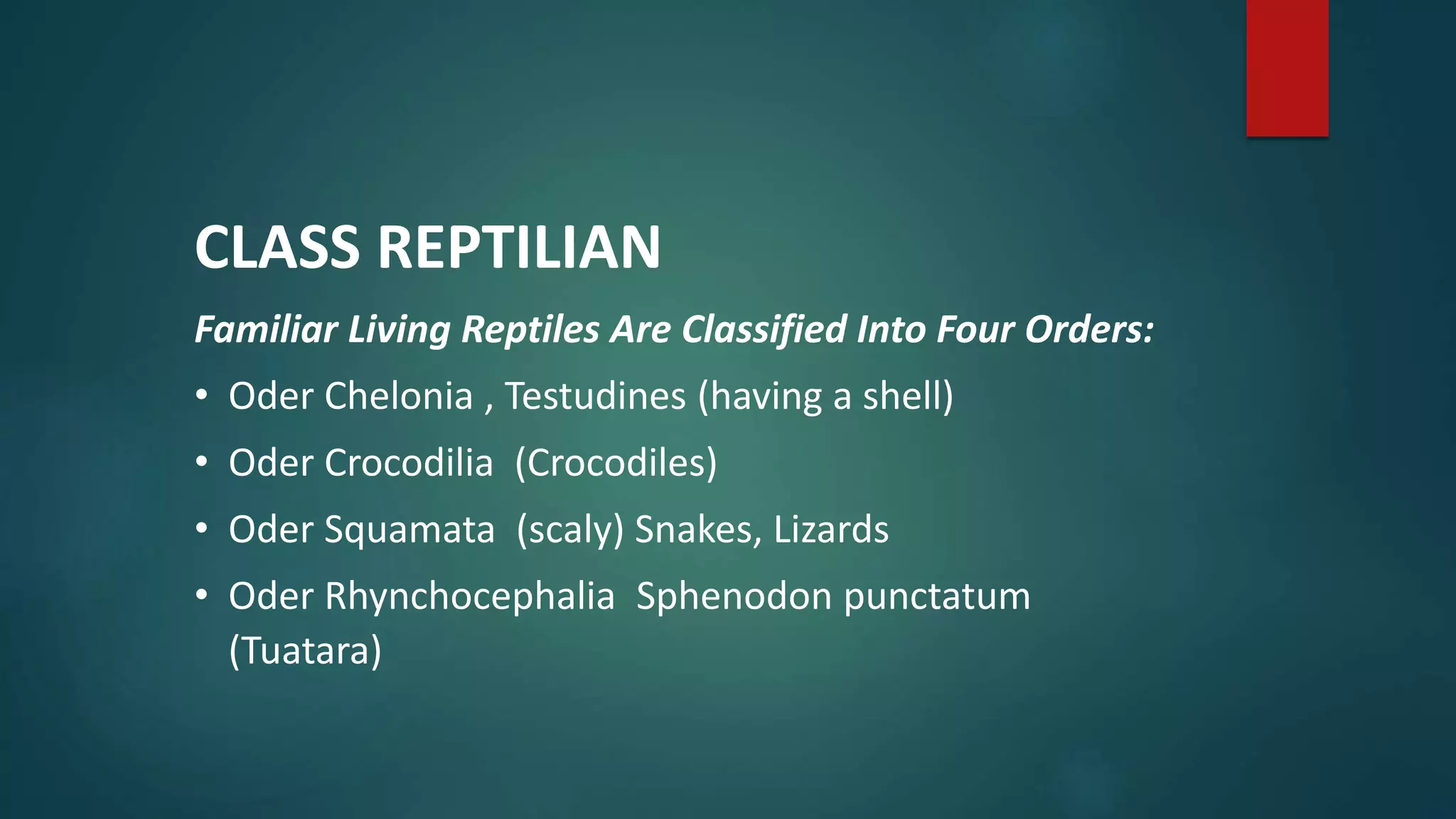 Classification of Reptiles | PPT