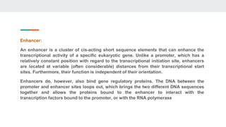Introduction to molecular biology (basic terminologies) | PPTX