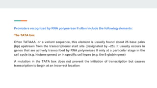Introduction to molecular biology (basic terminologies) | PPTX
