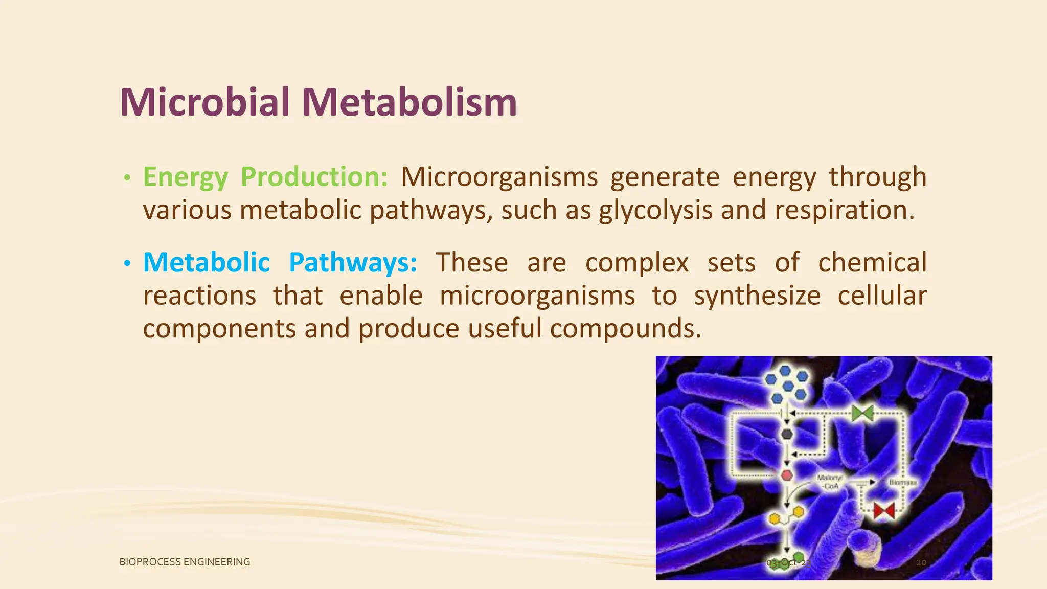 Lecture 01-Overview of Bioprocess Engineering.pdf