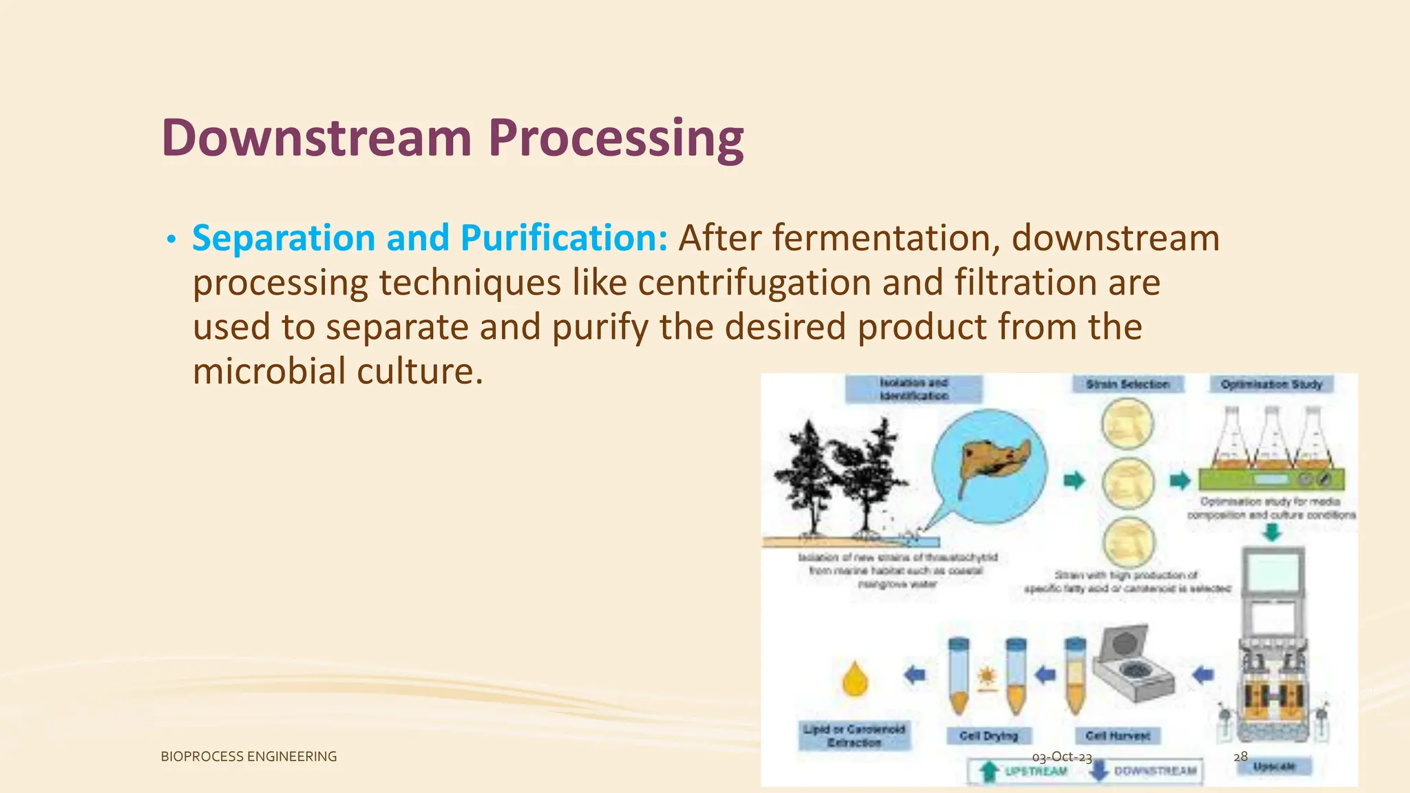 Lecture 01-Overview of Bioprocess Engineering.pdf