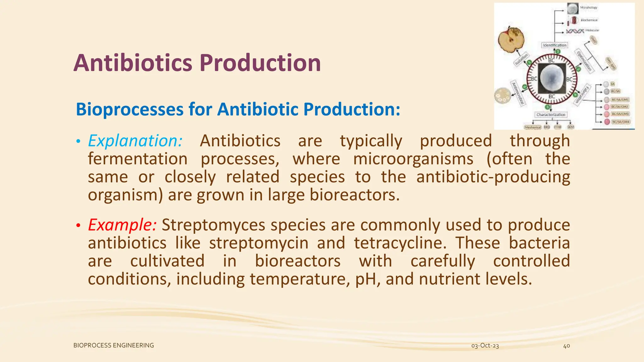 Lecture 01-Overview of Bioprocess Engineering.pdf