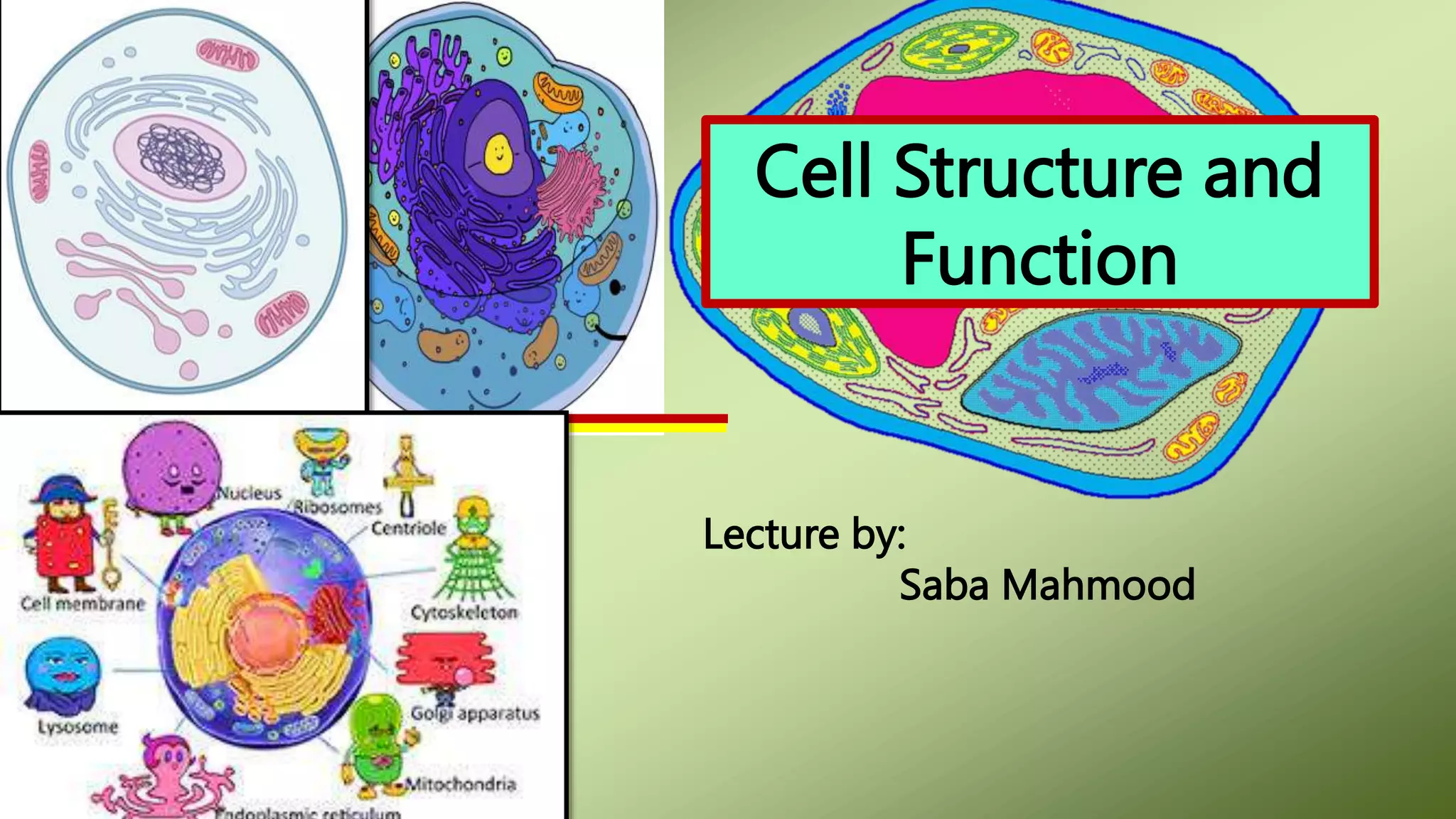 Lecture#01 (Cell structure and function).pptx