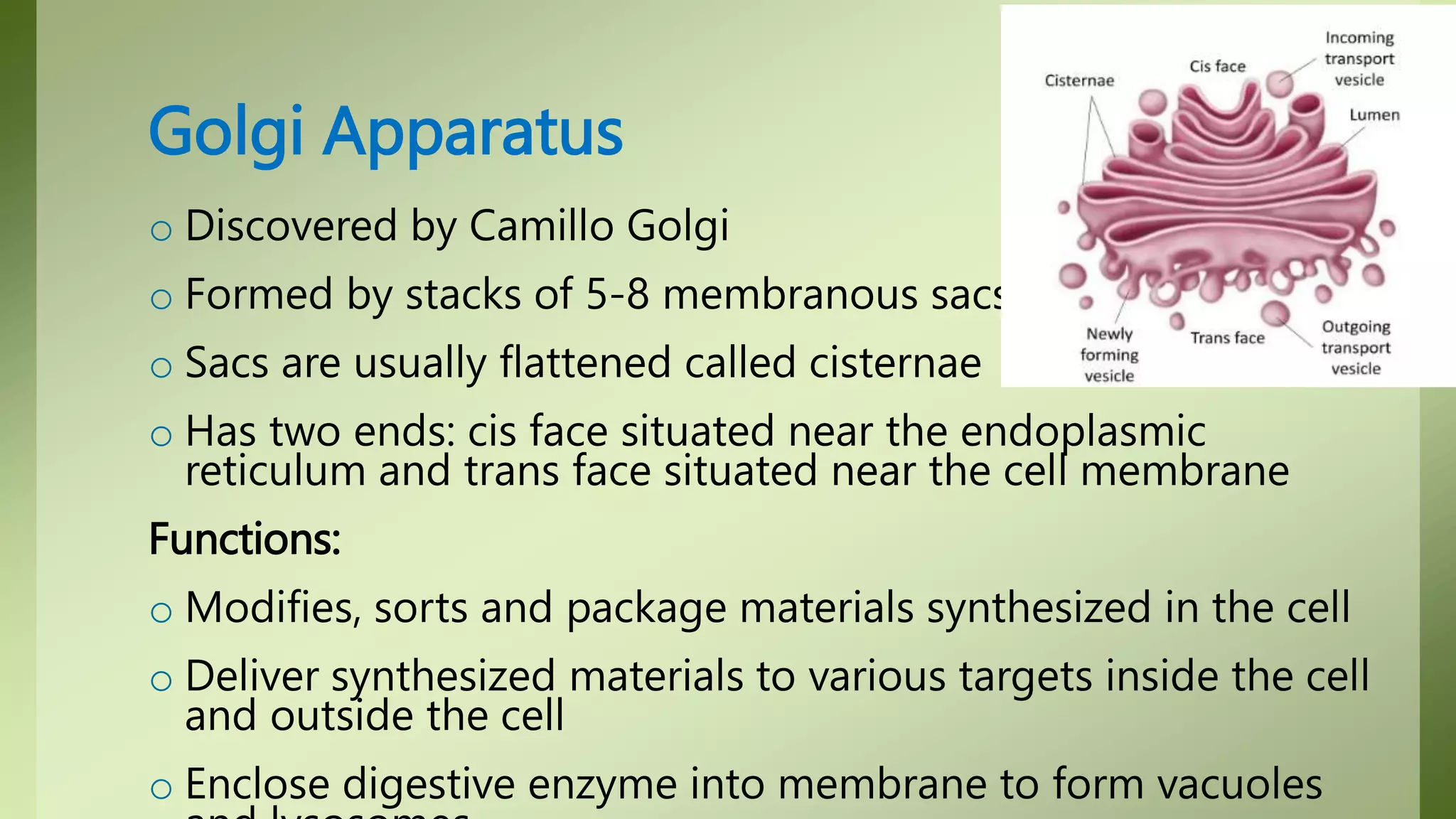 Lecture#01 (Cell structure and function).pptx