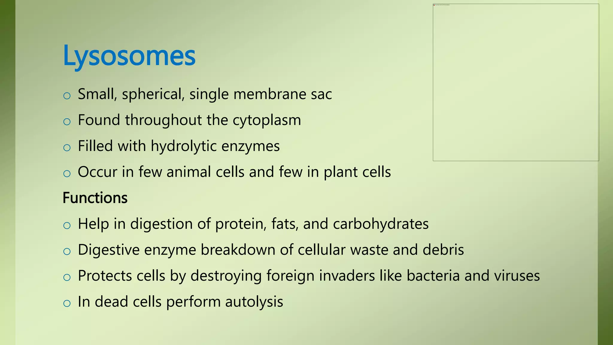 Lecture#01 (Cell structure and function).pptx