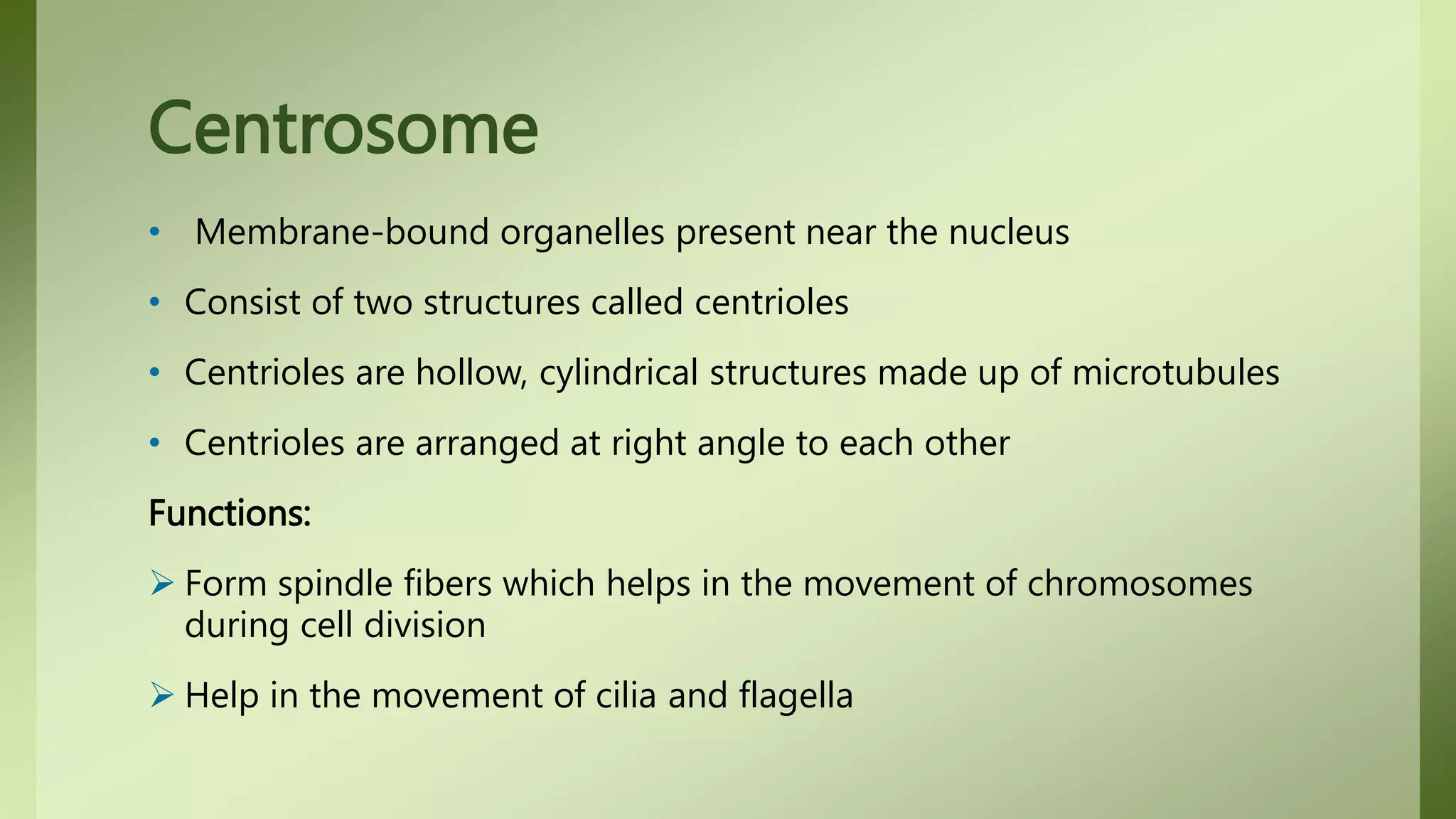 Lecture#01 (Cell structure and function).pptx