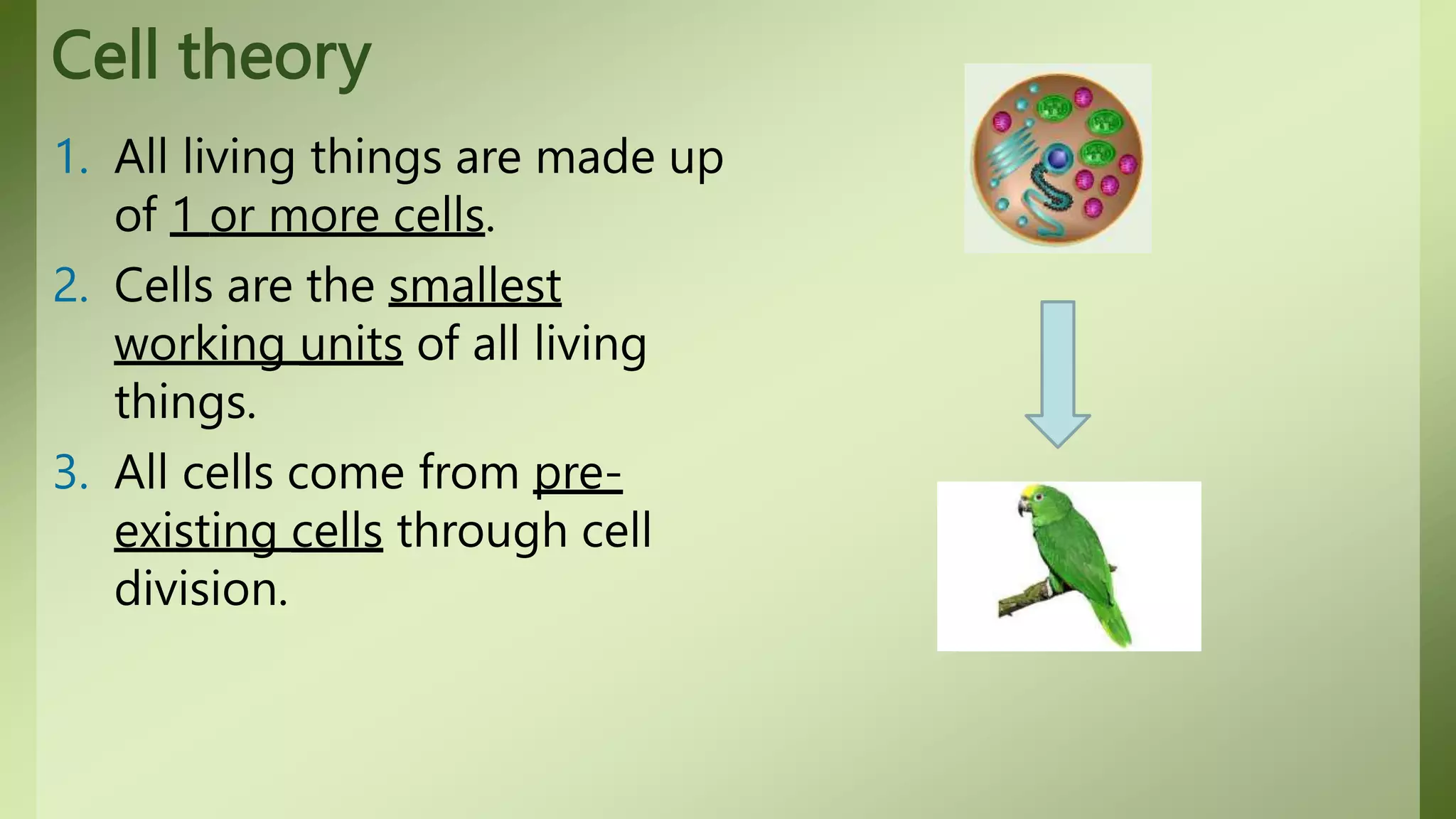 Lecture#01 (Cell structure and function).pptx