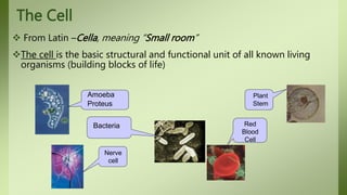 Lecture#01 (Cell structure and function).pptx