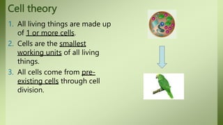 Lecture#01 (Cell structure and function).pptx