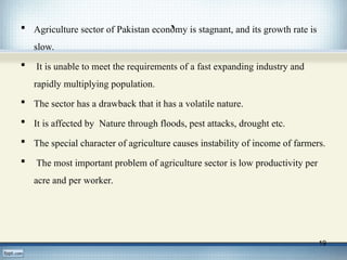 Introduction to Economy of Pakistan (Lecture) | PPT