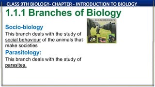 Lecture#01 Introduction to Biology.pptx
