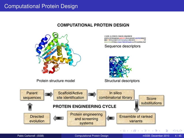 Computational Protein Design. 2. Computational Protein Design Techniques | PDF